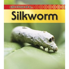 Along the Way: Science Sunday: Silkworms
